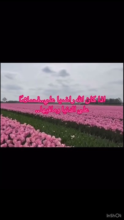 الحمدلله💞💞 #صدقة_جارية #اكسبلور #لايك #المصحف #explore #تصميمي #راحة ...