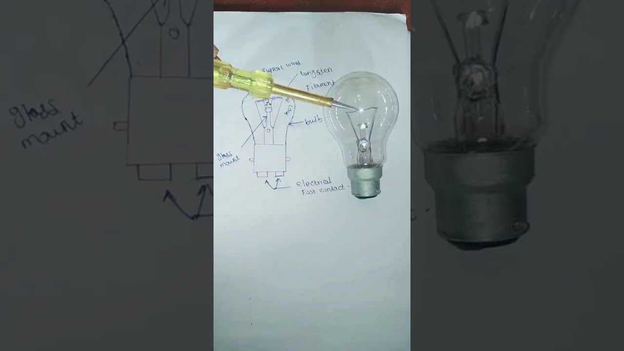 Bulb . Details Explain - YouTube