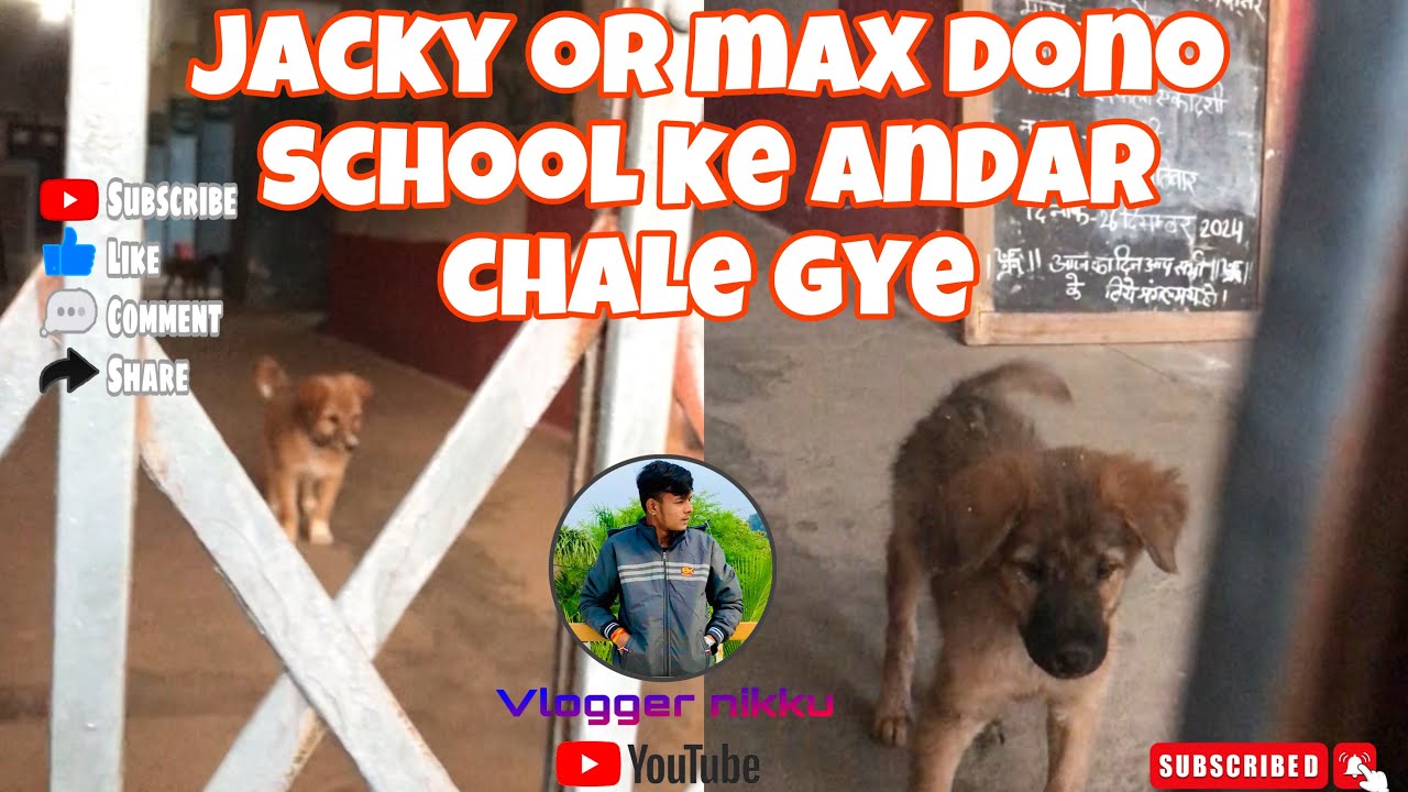 Jacky or max dono school ke andar chale gye 🦮🐶 like share subscribe 👍🏻 ...