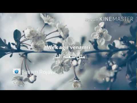 اجمل الاغاني/أغنية كردية ترسامن نا مرنا مترجم بالعربية/٢٠٢٠