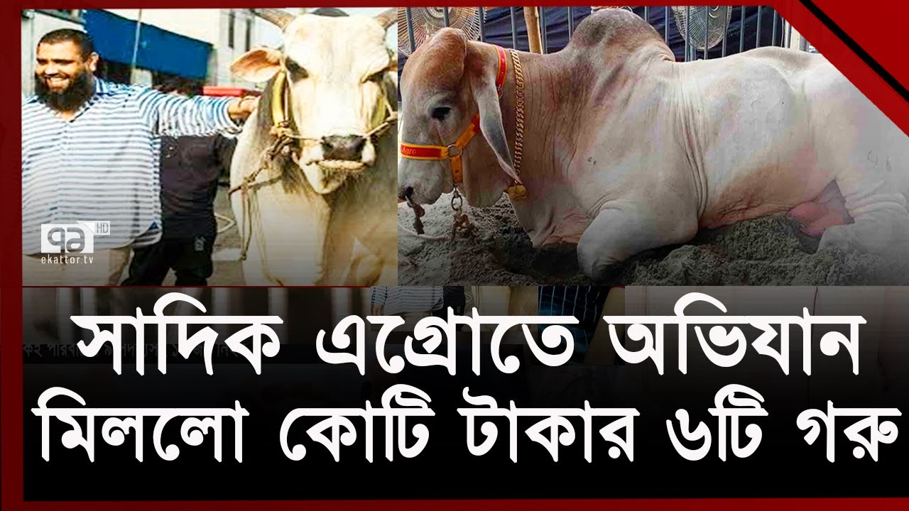সাদিক এগ্রোর খামারে দুদকের অভিযান | Sadik Agro | Ekattor TV - YouTube