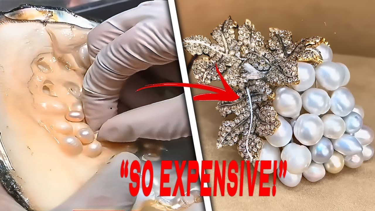 PEARL FARM – Oyster Pearl Farming for Jewelry | Harvesting and ...