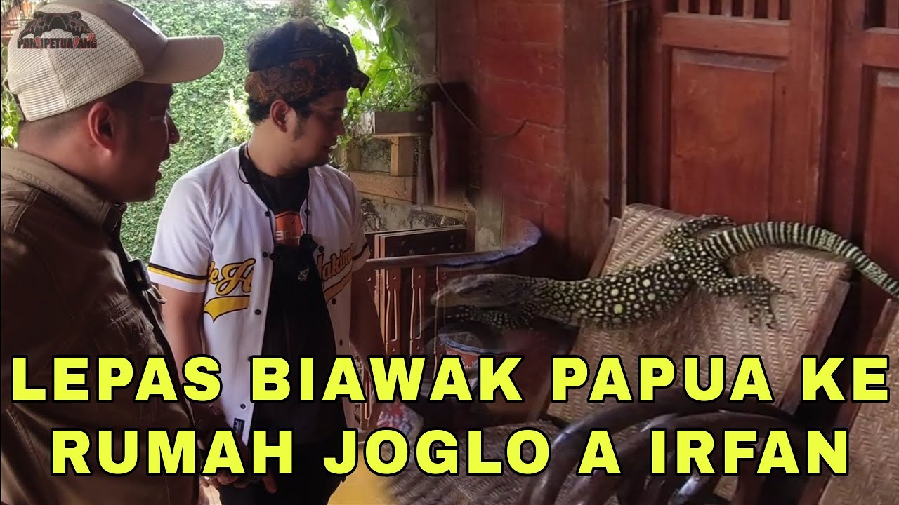 Selain King cobra Garaga Panji bawa hewan ini ke rumah@deHakims ...