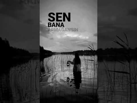 Funda Arar Armağansın