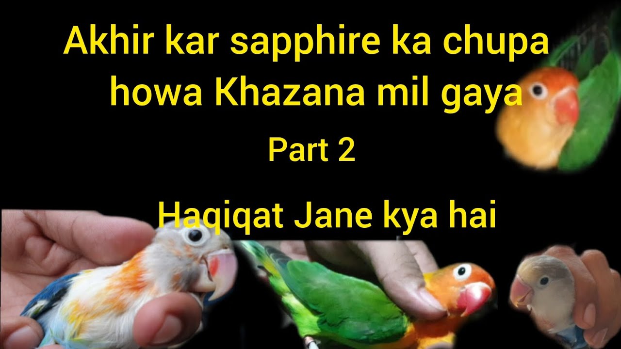 Akhir kar sapphire ka chupa howa khazana mil Gaya | haqiqat Jane kya ...