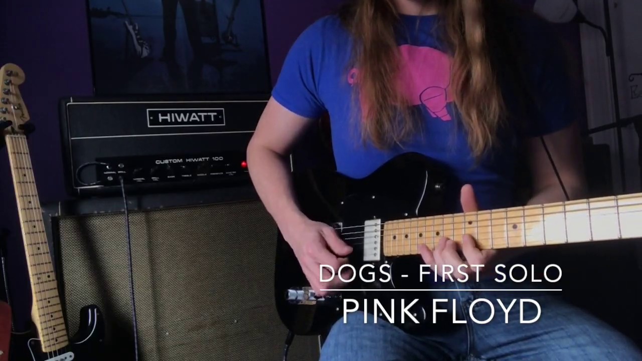 Dogs - Pink Floyd - First Solo (cover) - YouTube