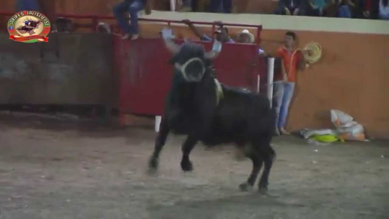 TORNEO REGIONAL DE TOROS DE REPARO EN TONAYA 2015 - YouTube