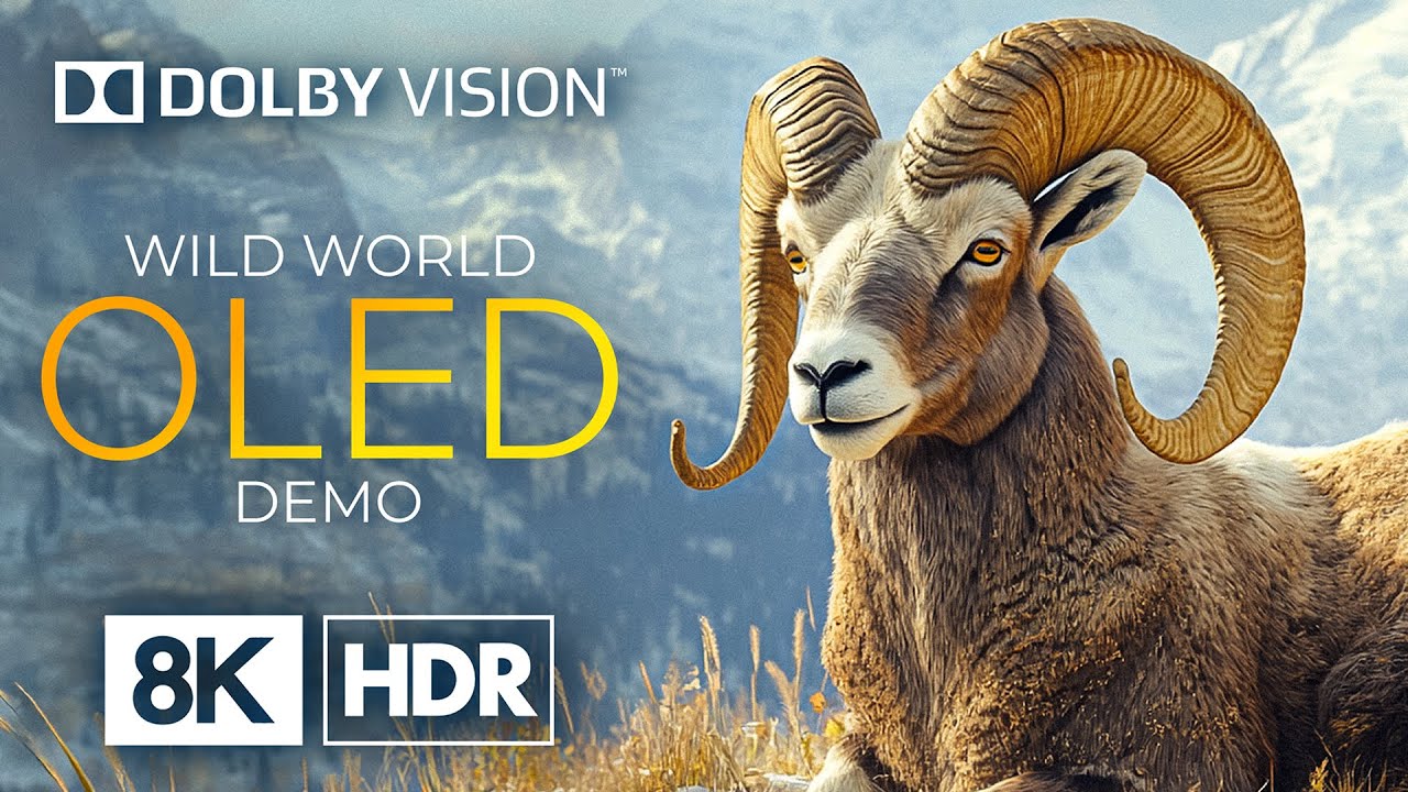 OLED 8K HDR 60fps with Dolby Vision – Stunning Views from Above - YouTube