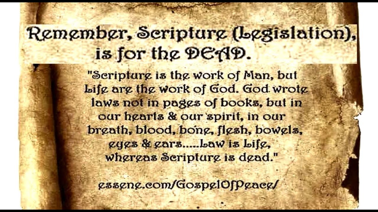 Living Status 1300m 1 Life Matters - YouTube