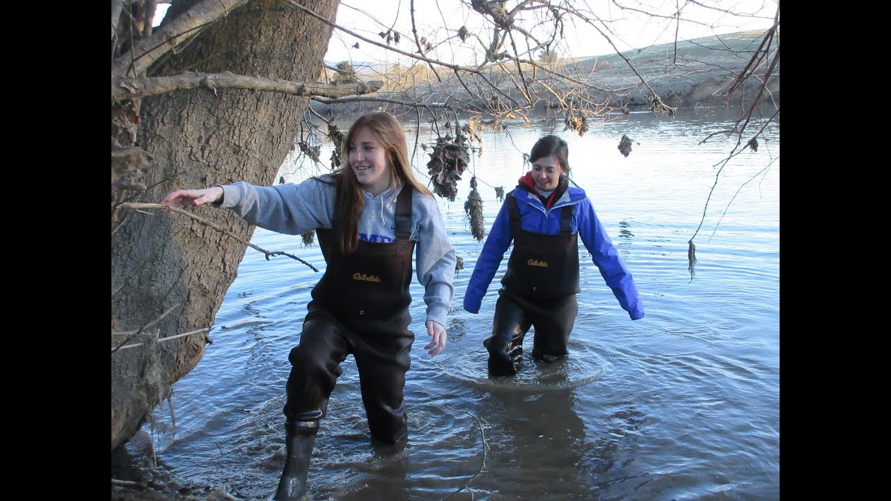 Streambank Restoration and the JMU Farm: Structure and Stability - YouTube