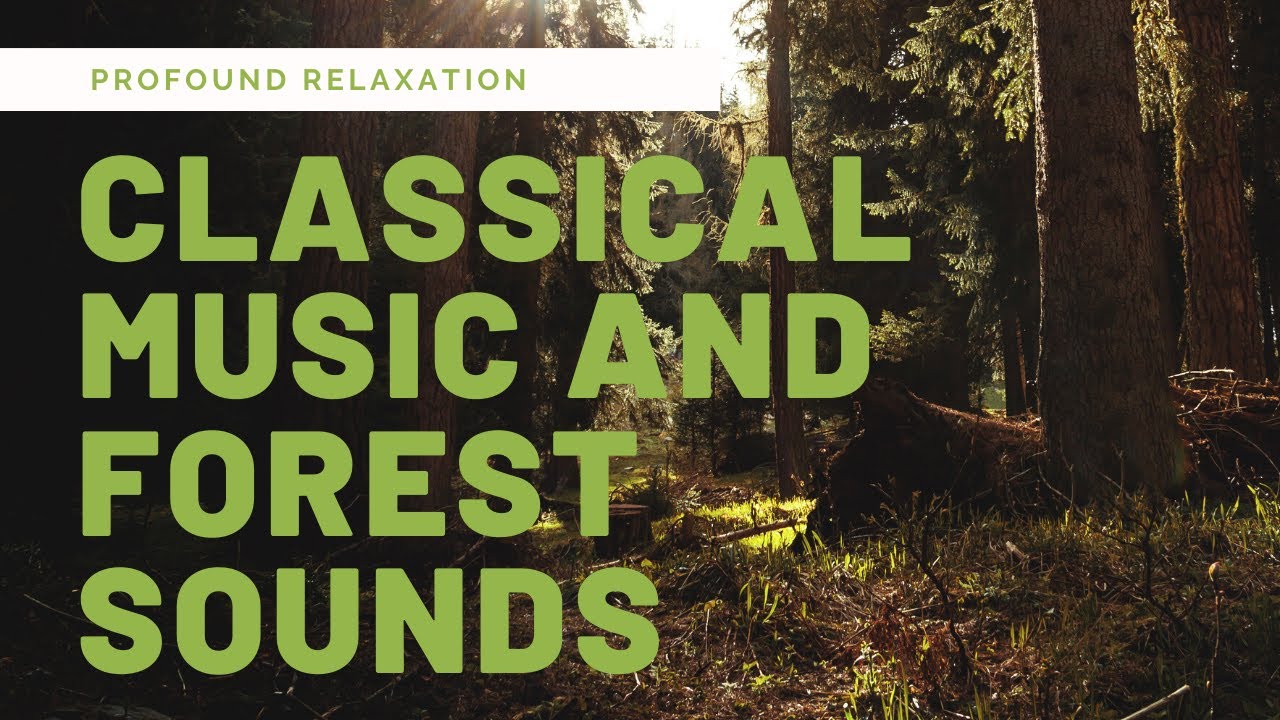 Music Therapy In Nature: Relaxing Classical Music & Forest Sounds for ...