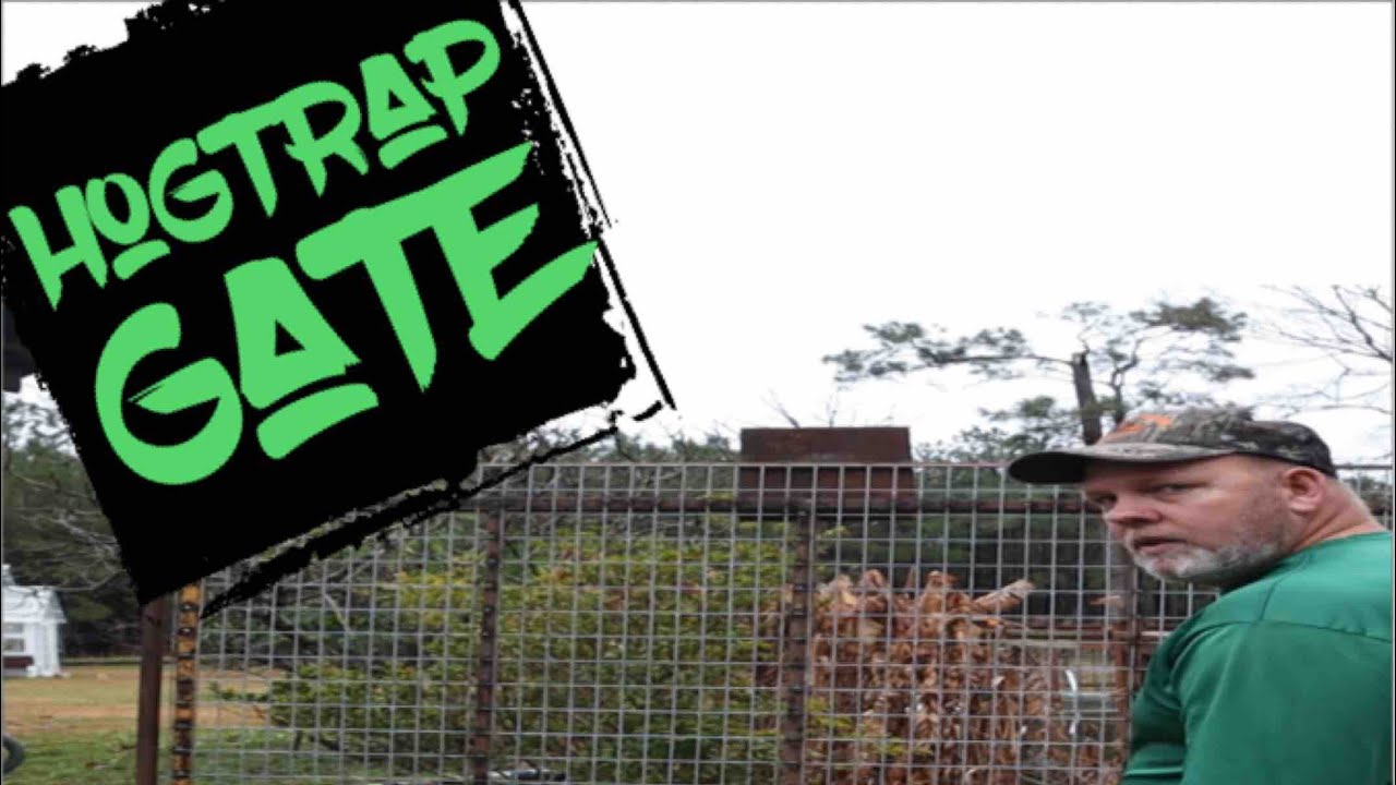 Best Hog Trap Gate - YouTube