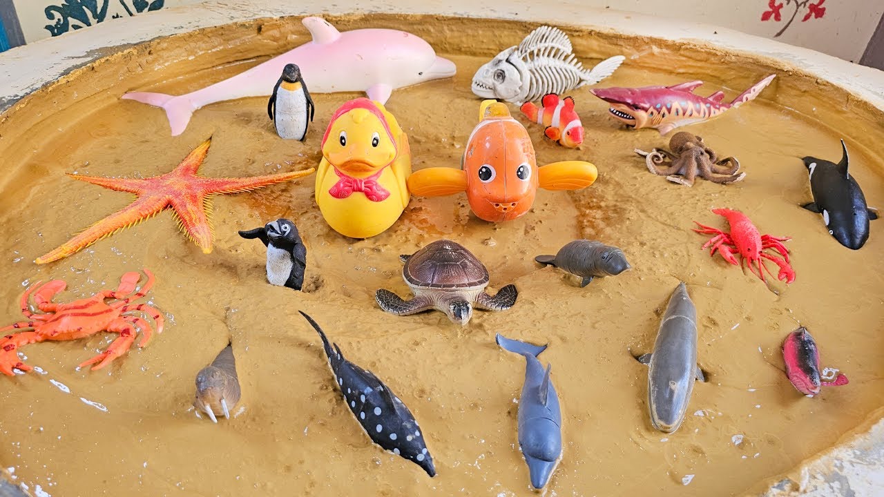 Under the Sea Adventure: Exploring Ocean Creatures with Little ...