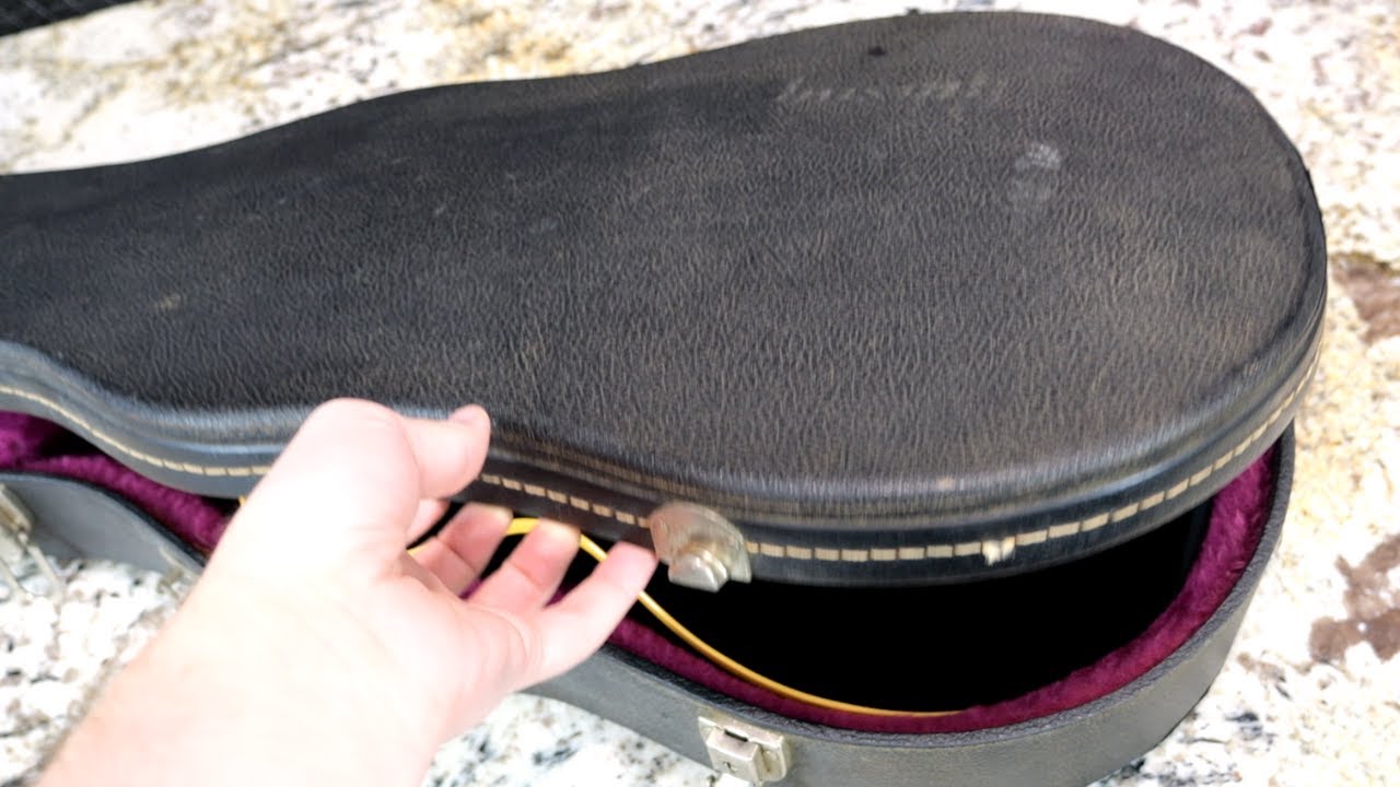 What Made Gibson's "PRO" Model Special? | 1977 Gibson Les Paul Pro ...