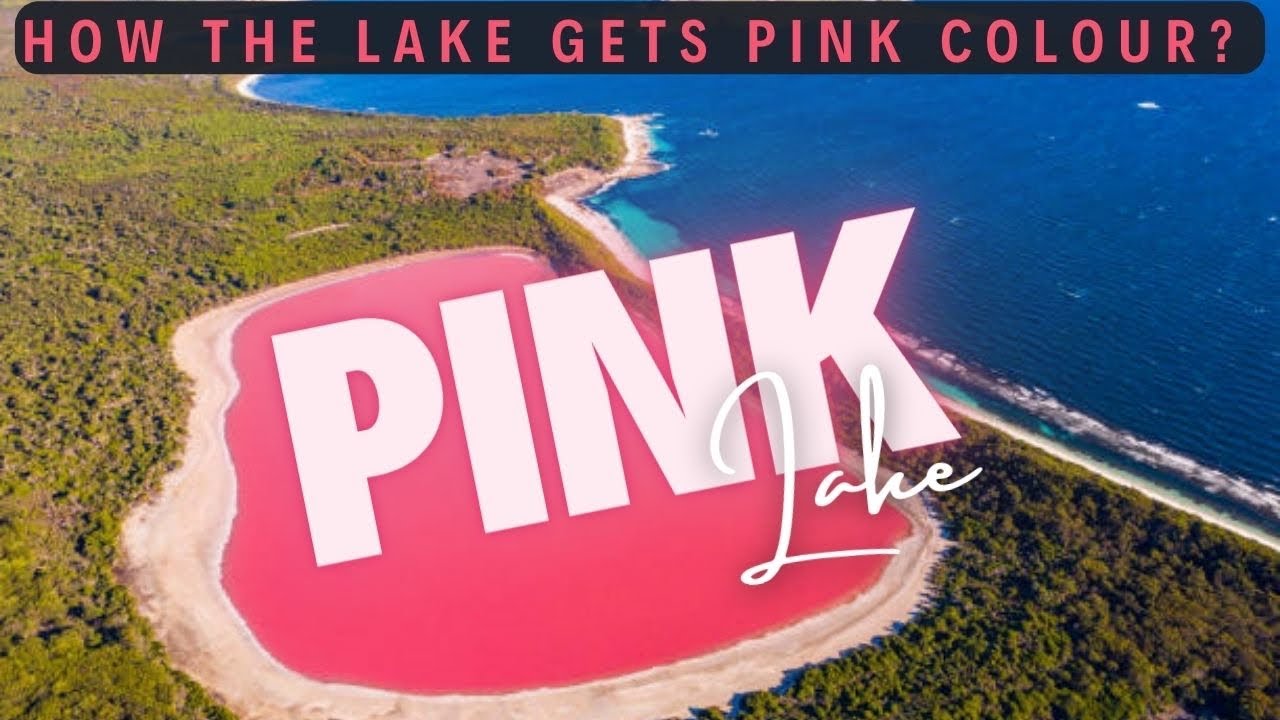 Why the lake gets Pink Colour? || Pink lakes in Australia || Magic ...