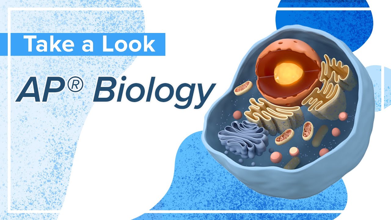 AP® Biology Overview - YouTube