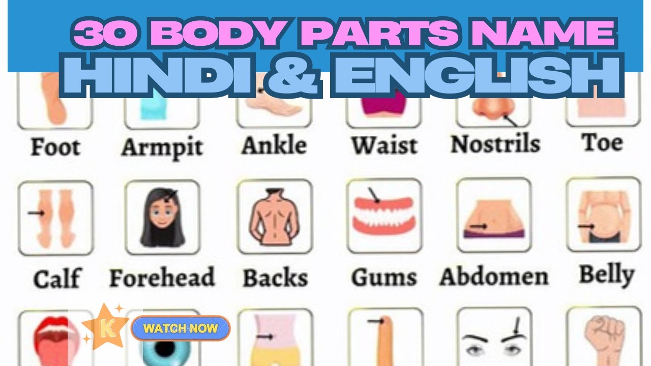 30 Body parts Name in Hindi and English//शरीर के अंगों के नाम//For kids ...