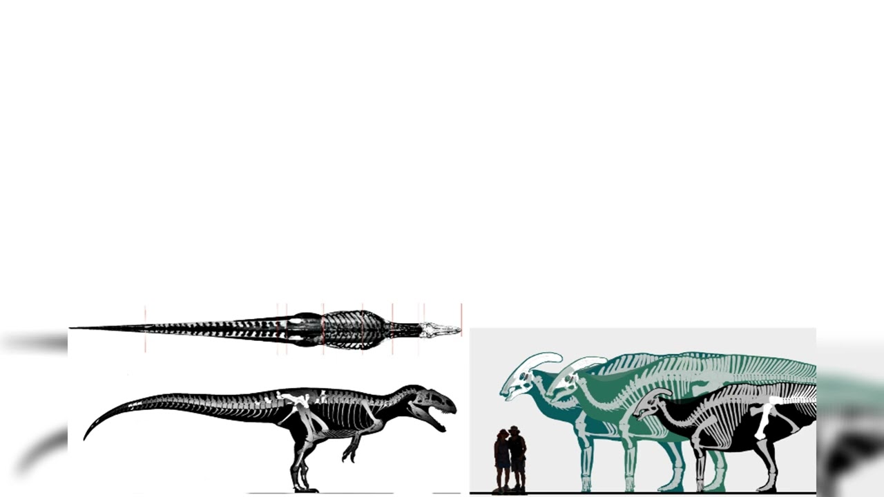 Siats And Parasaurolophus Tubicen Size Comparison - YouTube