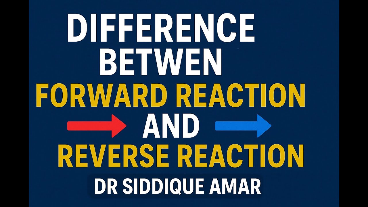 Forward vs Reverse Reactions: Differences in Chemical Equilibrium ...