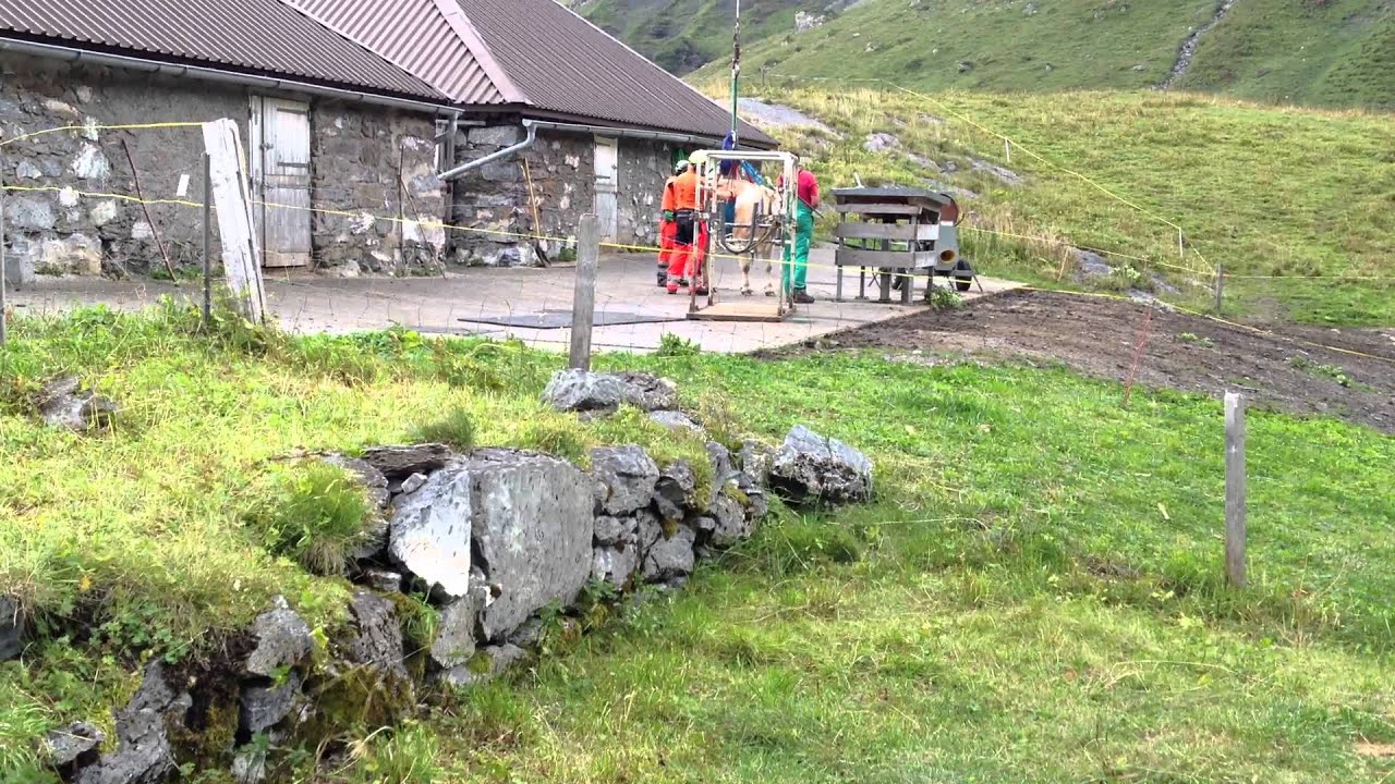 Swiss cow helicopter rescue - YouTube
