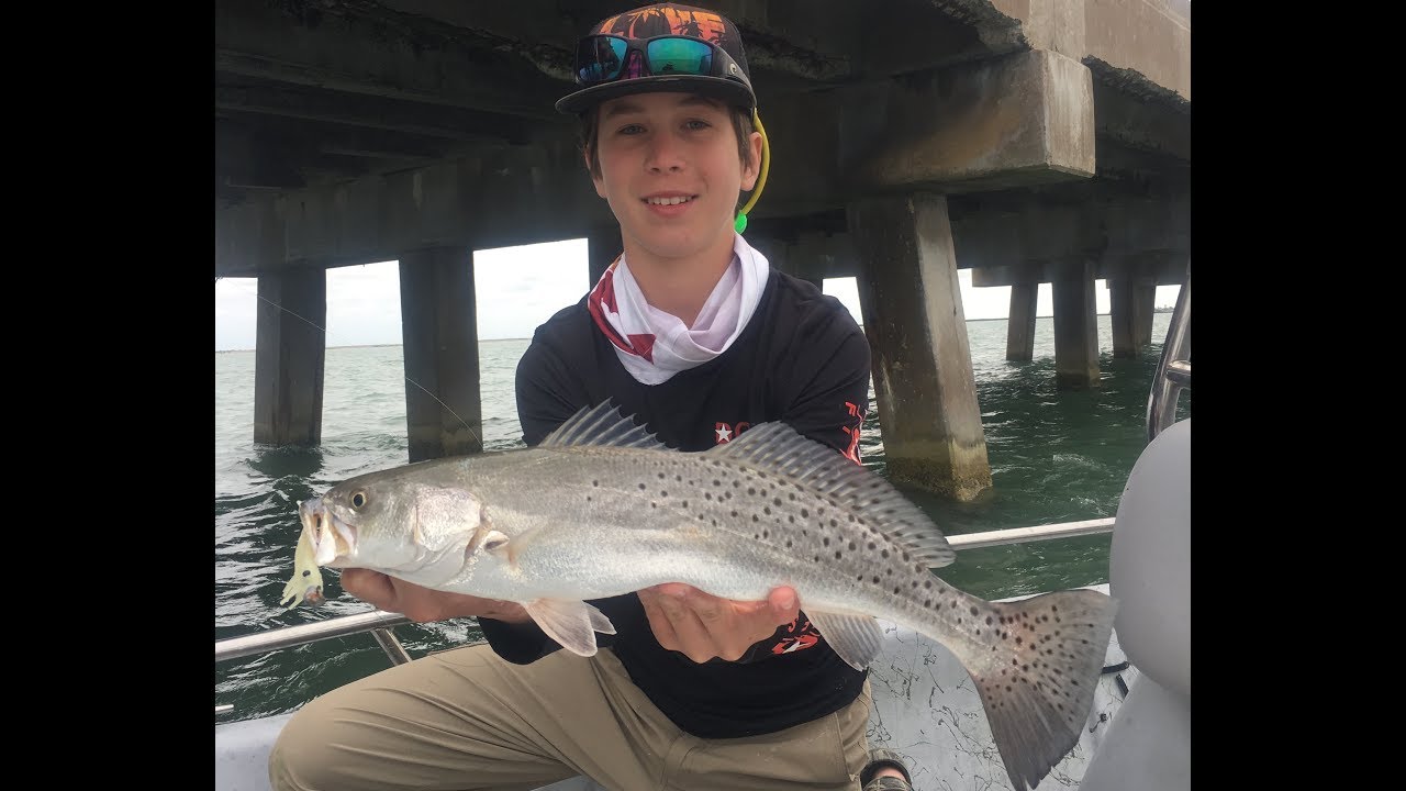 Caught 100 trout using a simple technique - YouTube