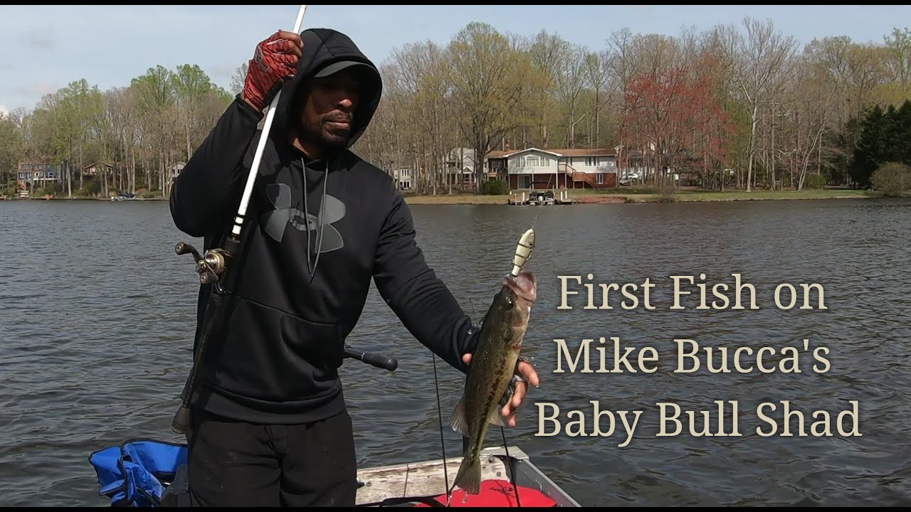 First Bass on Mike Bucca's Baby Bull Shad - YouTube