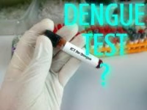 What is Dengue NS1 and antibodies test in Pune : Pathofast, Lab