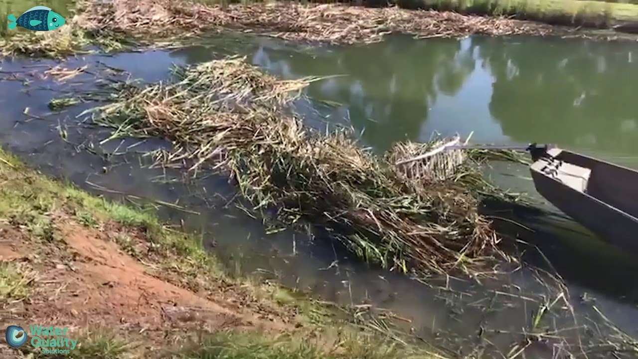 Showcase Series - Weed Removal - Private Dam - Victoria - YouTube