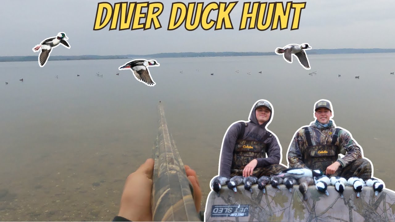 EPIC Diver Duck Hunting! | Two Man Limit WITHOUT A Blind! - YouTube