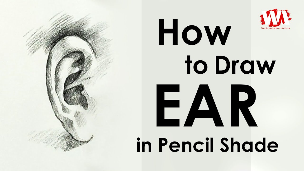 How to Draw Ear in Pencil Shade for beginners Step by Step | Easy way ...