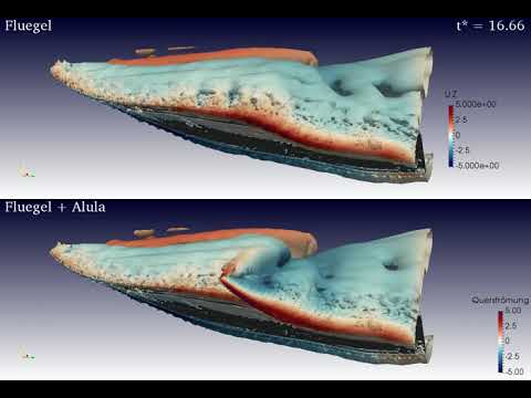 OpenFOAM CFD: Pigeon wing with alula extended - YouTube