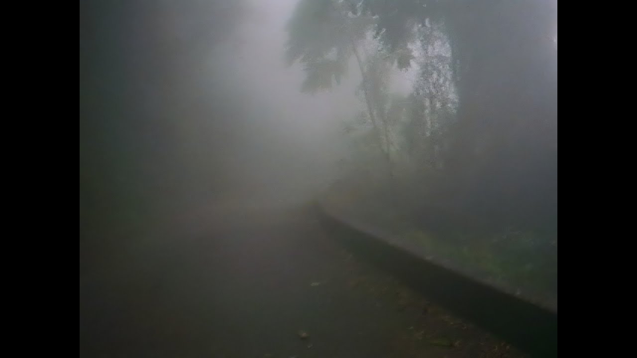 Estrada do Sumaré - Floresta da Tijuca - Rio de Janeiro - YouTube