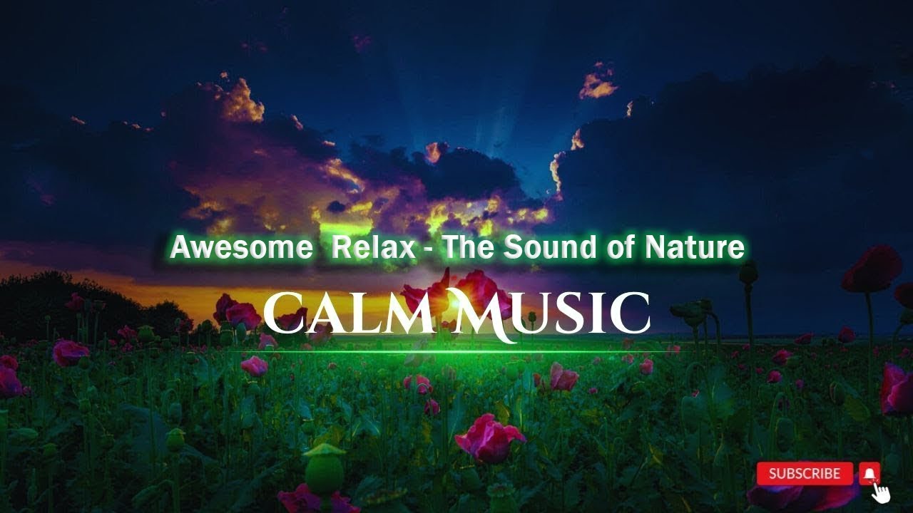 Relaxing Sleep Music, Sleep Meditation, Calm Music, Insomnia, Relax ...