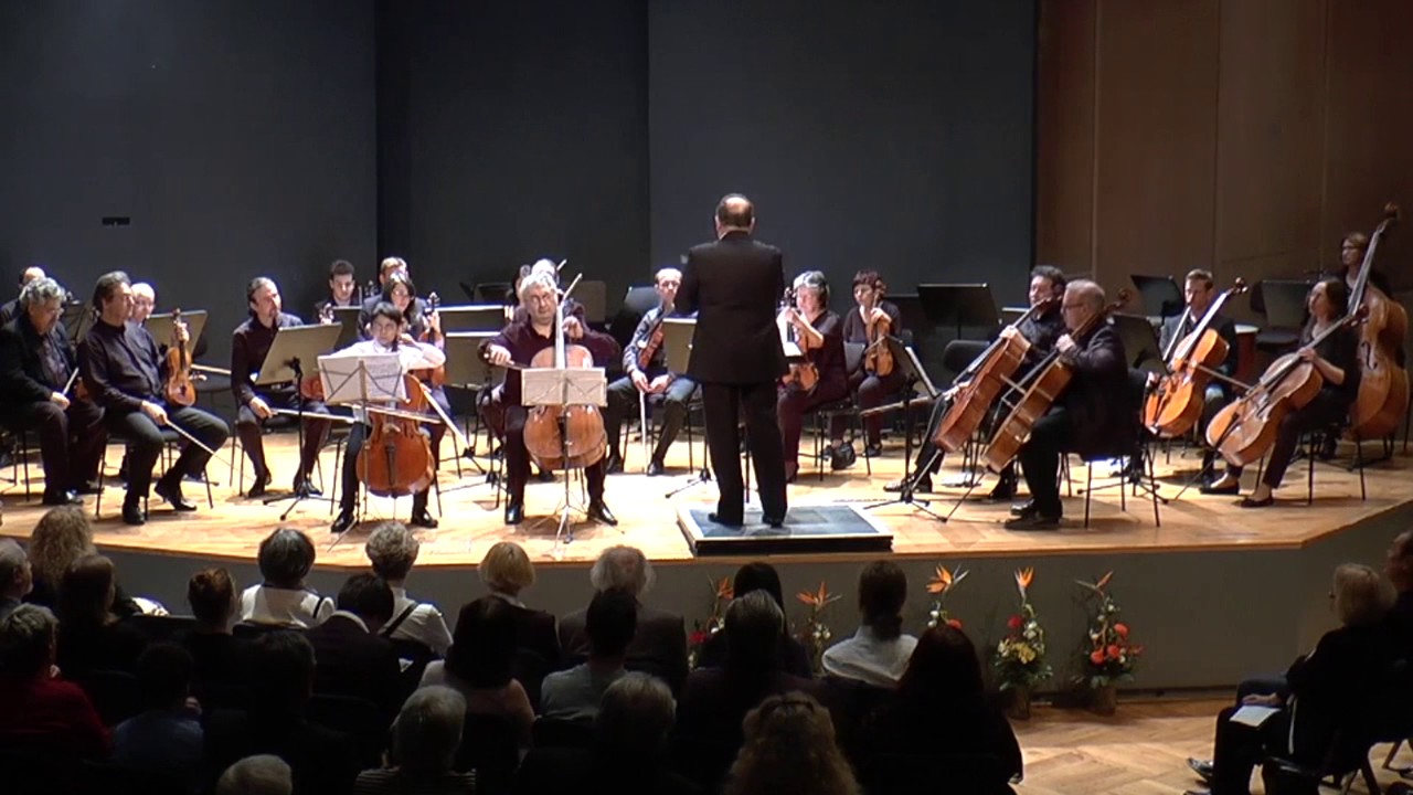 Julian Lehmann David Grigorian A. Vivaldi: Concerto for two cellos in G ...