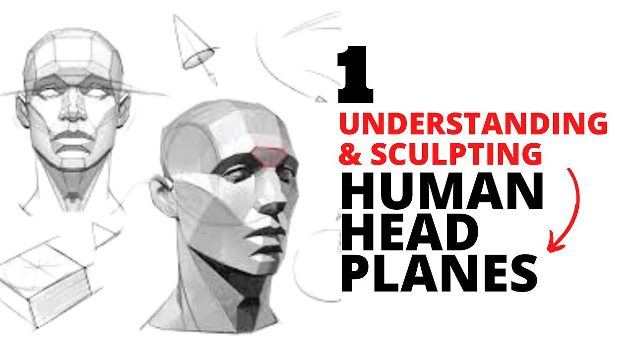 Understanding and Sculpting Human Head Planes in Zbrush - YouTube