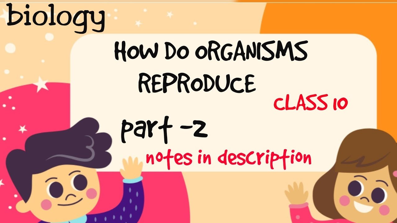 HOW DO ORGANISMS REPRODUCE || CLASS 10||PART -2||MALE REPRODUCTIVE ...