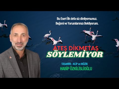 ATEŞ DİKMETAŞ - SÖYLEMİYOR