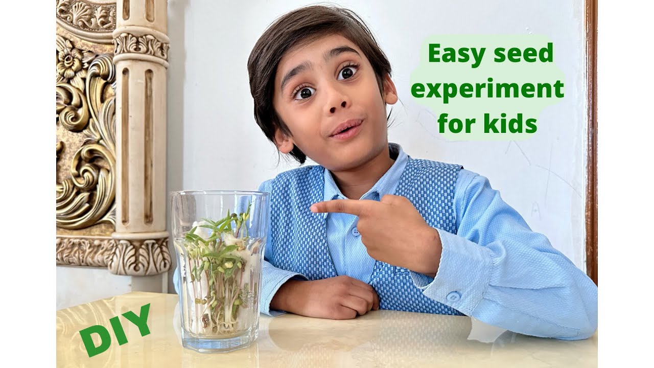 Week-14 Homework for kids at home | KG-2 | Preschool activities ...