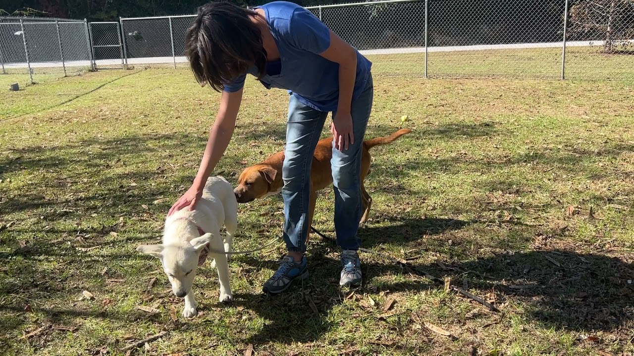 Bryson and Halley - YouTube