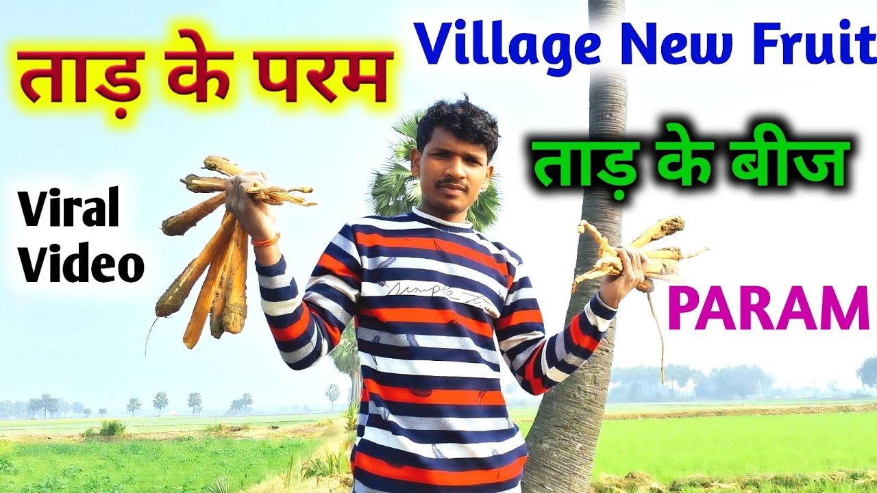 PARAM Tad ke Fal | Bihar new Fruit video | बिहार के फेमस फल ताड़ के परम ...