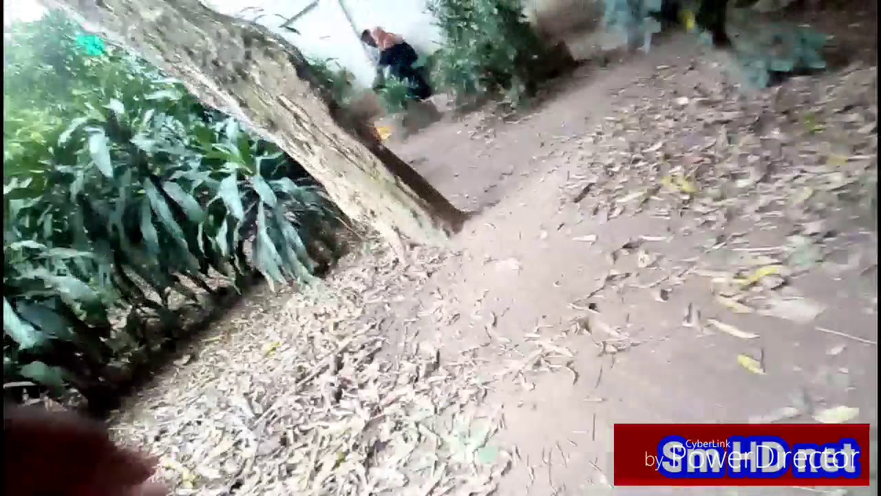 বলদা গার্ডেনে সন্ধ্যা হলেই চলছে অশ্লীল কার্যকলাপ.balda garden park ...