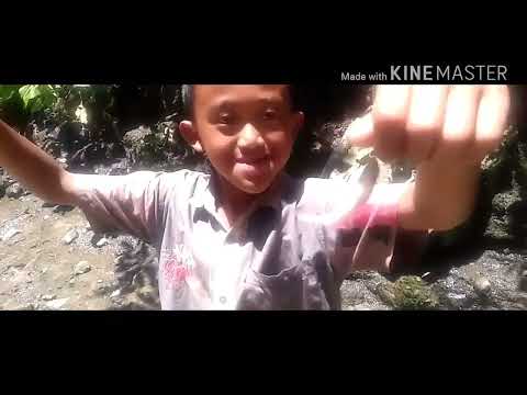 Video Mancing Pertama