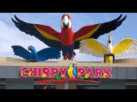 Chirpy Park Bahria Town Karachi || Birds Heaven || Birds Lovers - YouTube