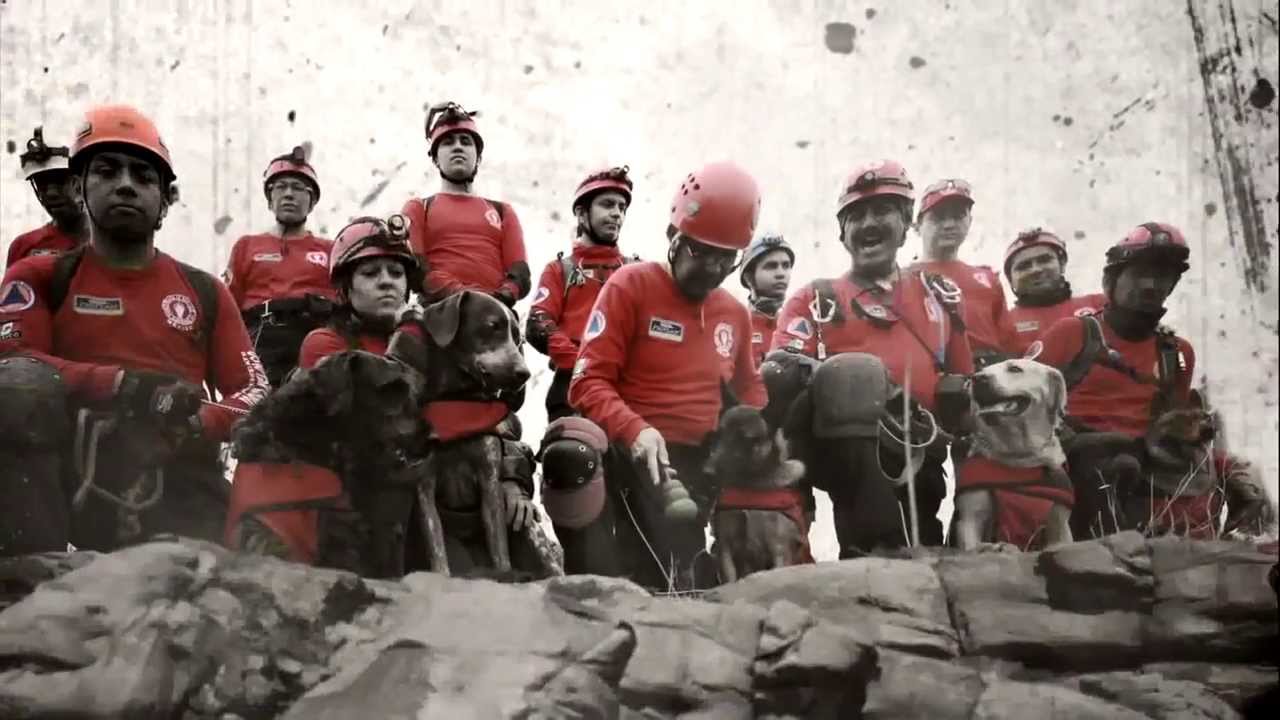 PERROS TOPO - YouTube