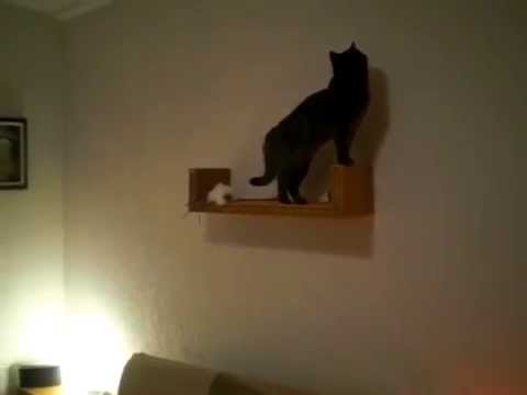 Fiona & Cella am turnen