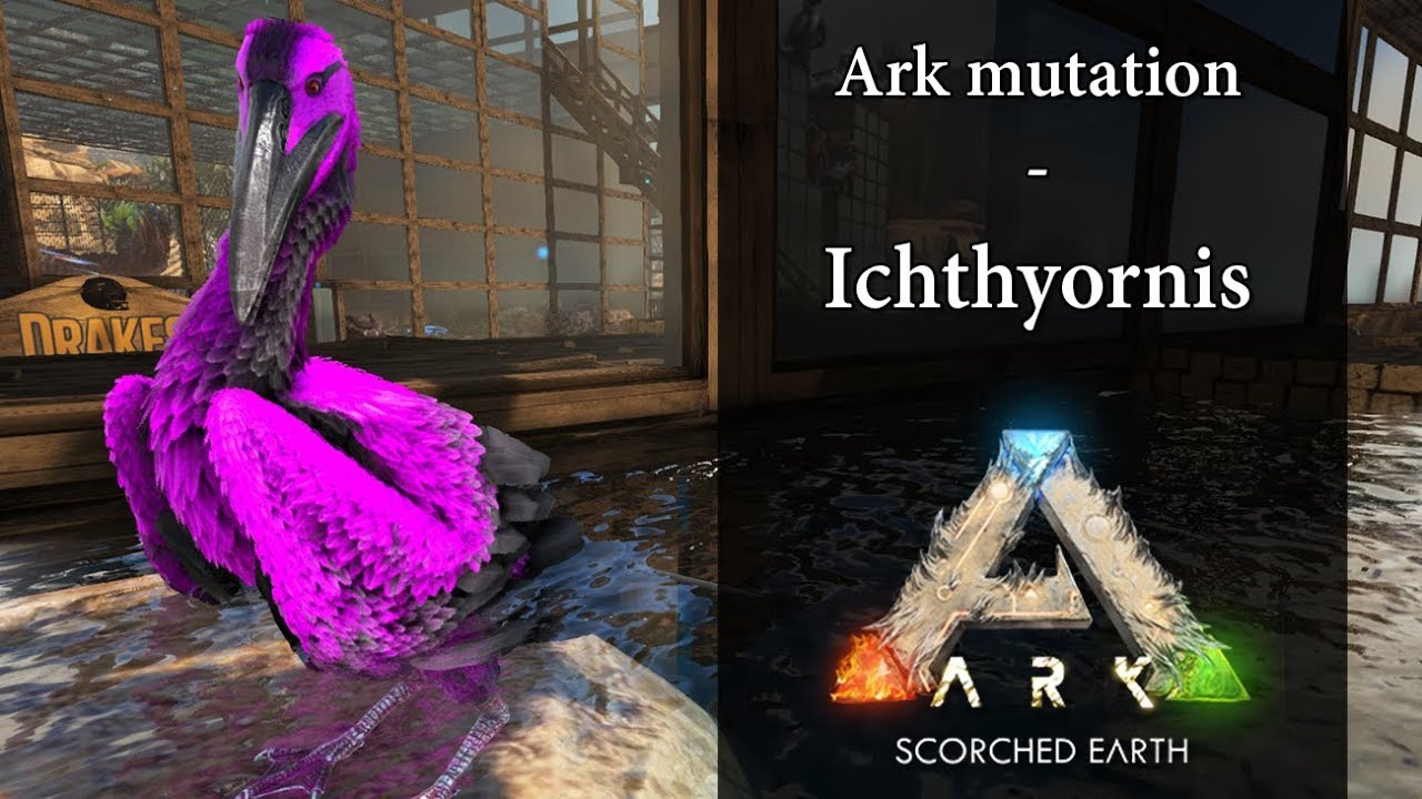 Ark Mutation - Ichtyornis - YouTube