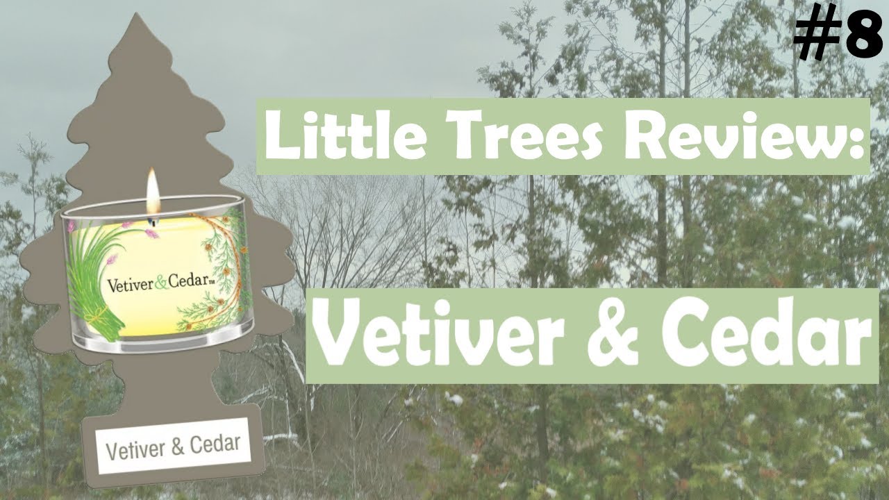 Little Trees Review #8: Vetiver and Cedar - YouTube