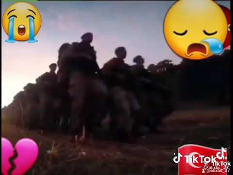 Tiktok beğendiğim videolar(1)