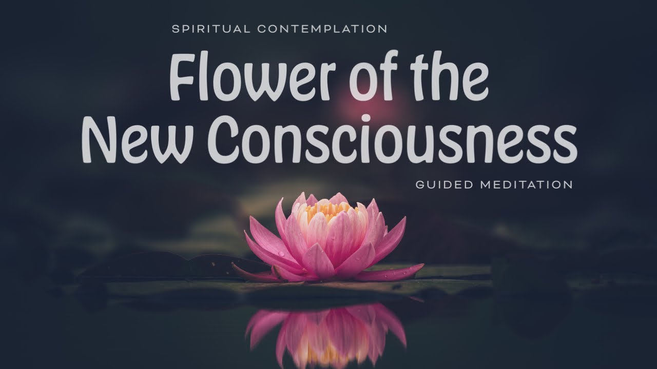 Contemplation: Flower of the New Consciousness - YouTube