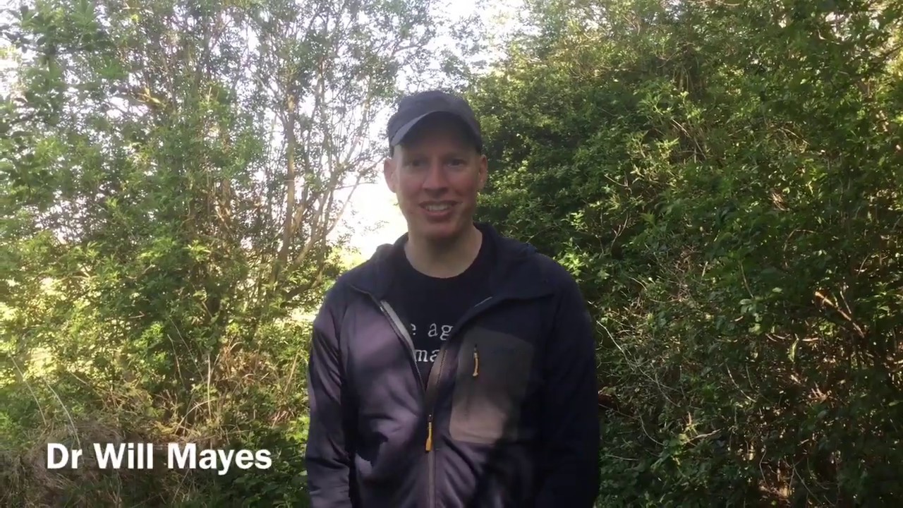 Will Mayes, Professor of Environmental Science - YouTube